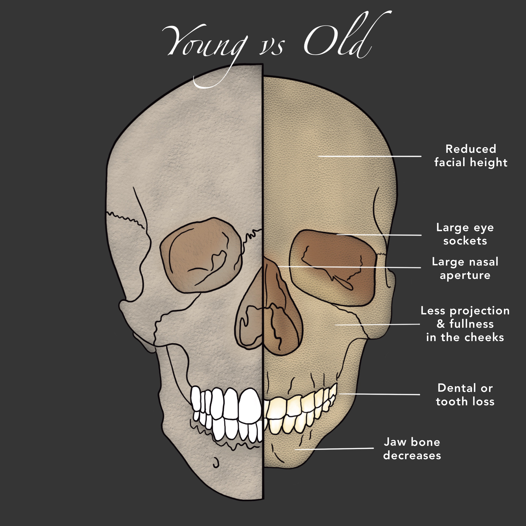 Gallery in Dallas, TX | Facial Techniques